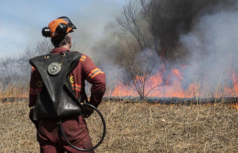 Photos: Controlled burn in North Dumfries wilderness area