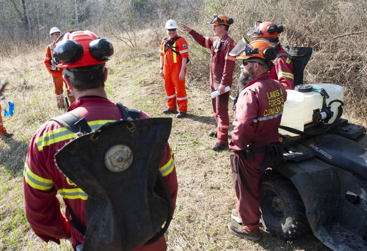 Photos: Controlled burn in North Dumfries wilderness area
