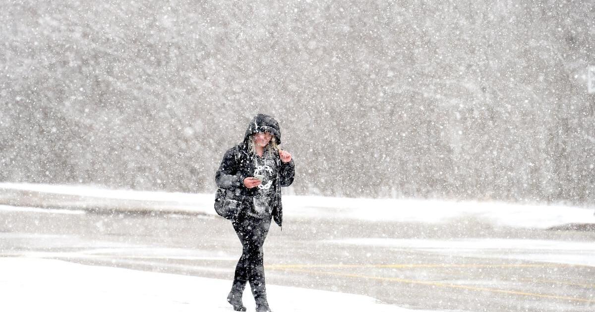 Waterloo Region digging out after major winter storm