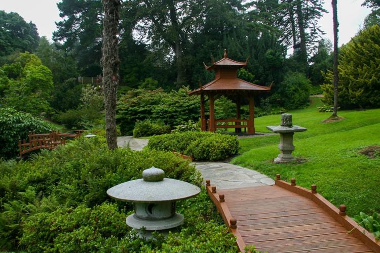 David Hobson on Japanese gardens and a lost chance to visit