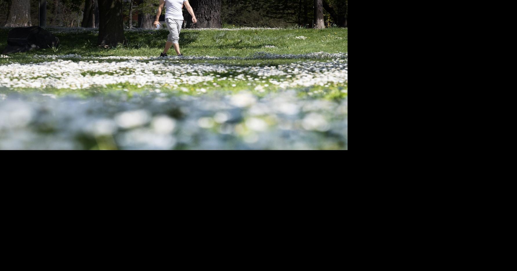 Waterloo Region Record morning update for May 20