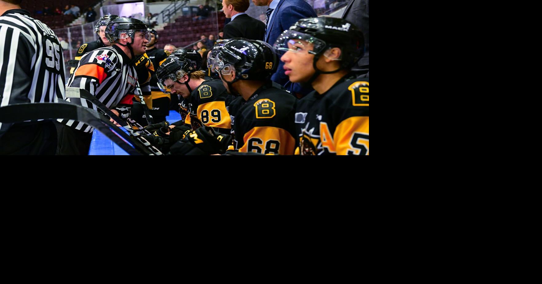 It’s a doggy dog world at the OHL’s quarter mark