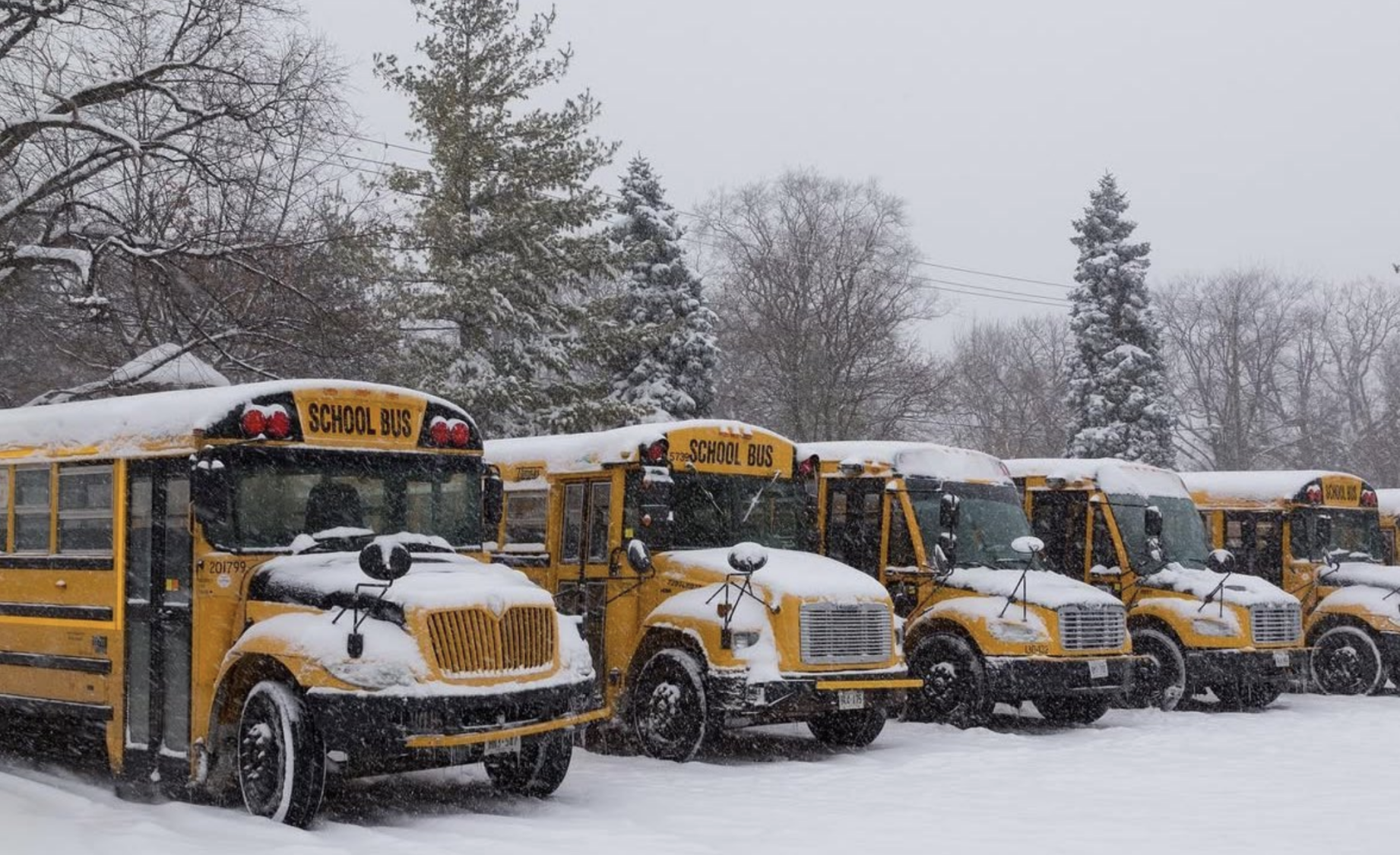 School bus cancellation notifications malfunction