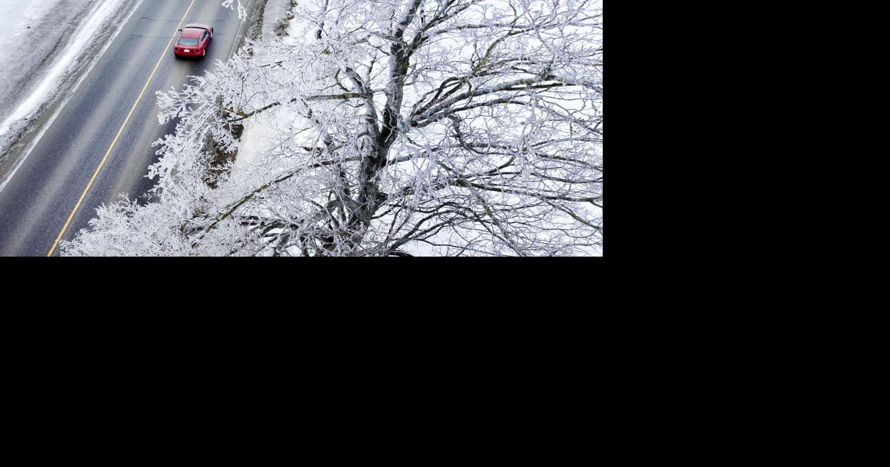 Waterloo Region Record morning update for Feb. 20