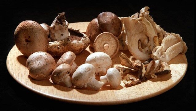 What's the difference between cremini and white mushrooms?