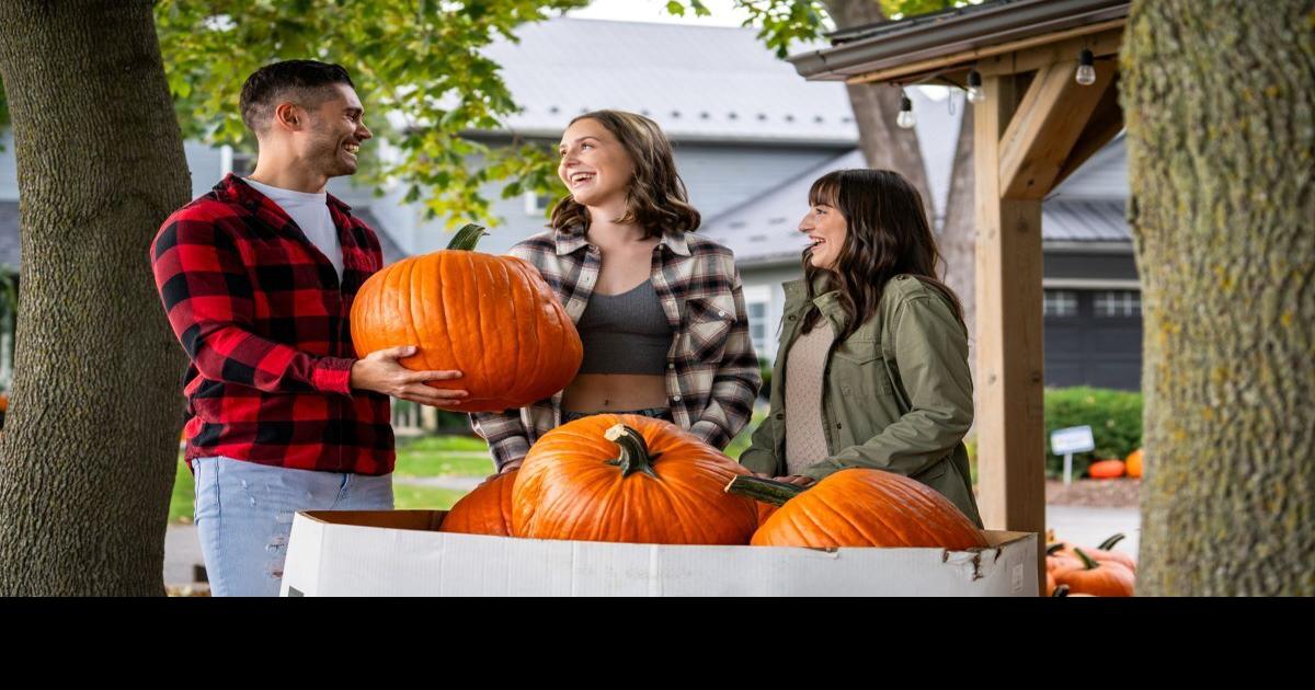 Six great reasons to visit Waterloo Region this fall