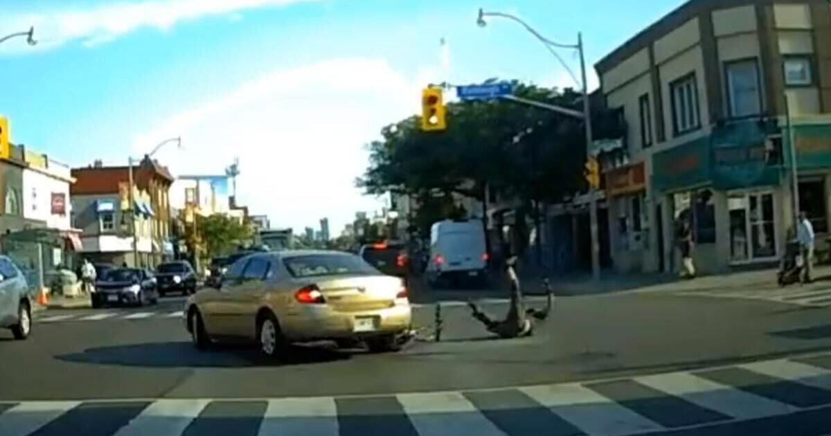 Shocking video shows Toronto driver run over cyclist