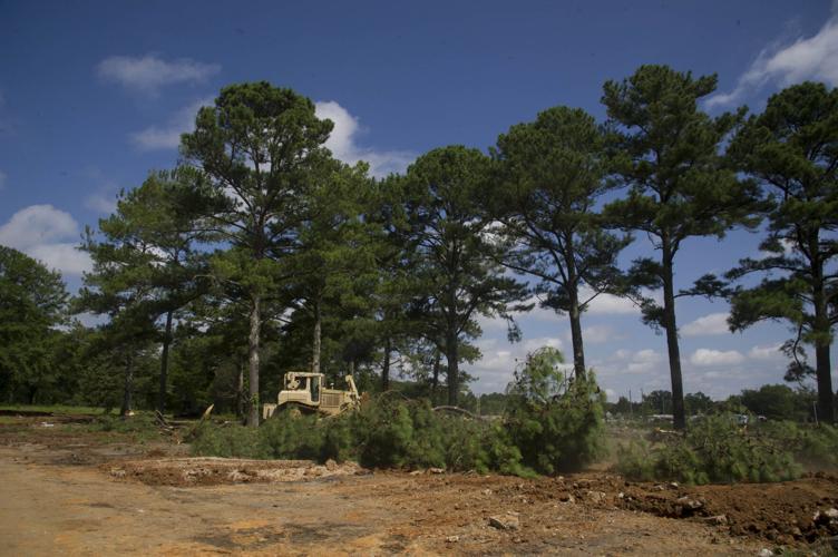 663rd Engineer Company Builds New Campsites on Redstone ...