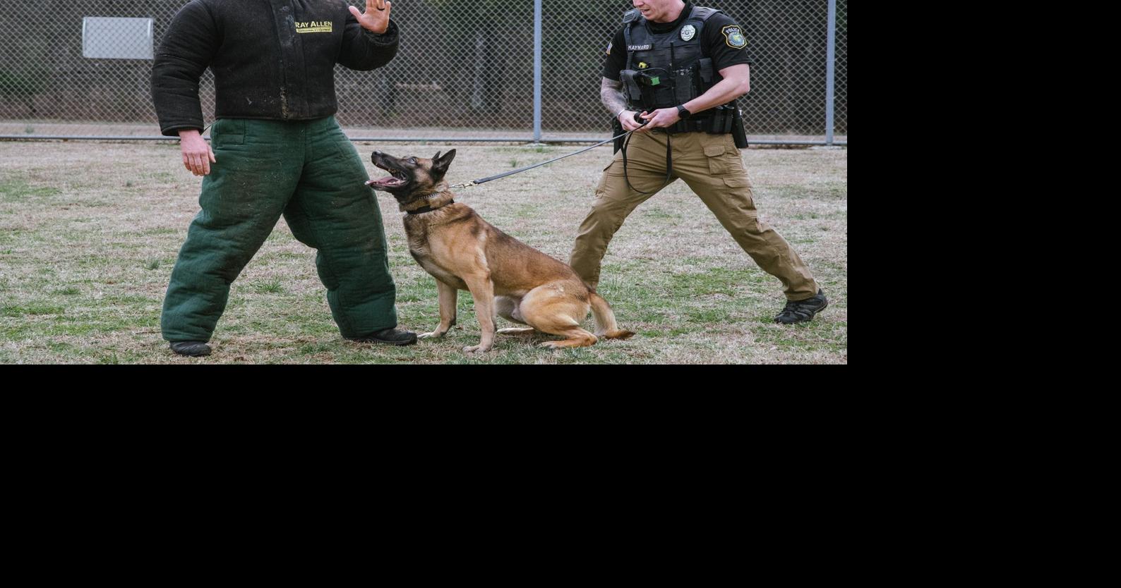 K-9 training breeds rapport, skills | Military Scene | theredstonerocket.com