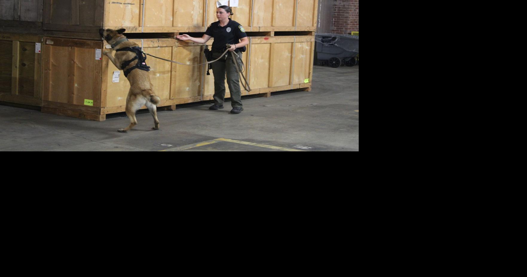 Redstone police K-9 teams track annual certification | Military Scene ...