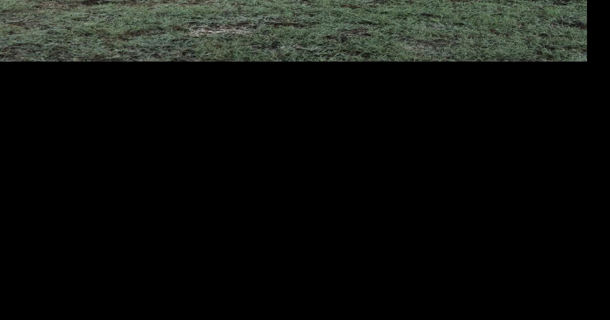 READY AND RESILIENT: Drivers reminded to obey speed limits, avoid ...