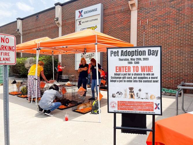 Dogs make connections during Pet Adoption Day | Gallery ...