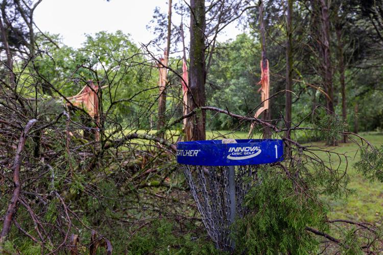 jonathan winternheimer