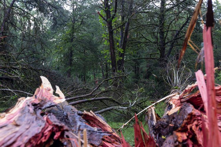 jonathan winternheimer