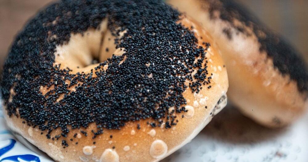 Poppy seeds may impact military drug tests | Military Scene ...