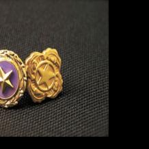 Gold Star pins honor surviving families | Military Scene ...
