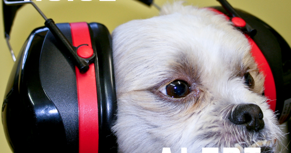 NOISE ALERT: Dec. 13 | | theredstonerocket.com