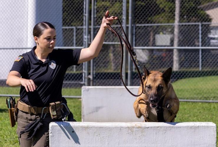 Newest K9 prepares for certification course | News | theredstonerocket.com