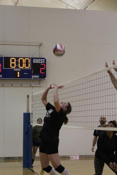 Flying Penguins making noise in winter volleyball season | Win Or Lose ...