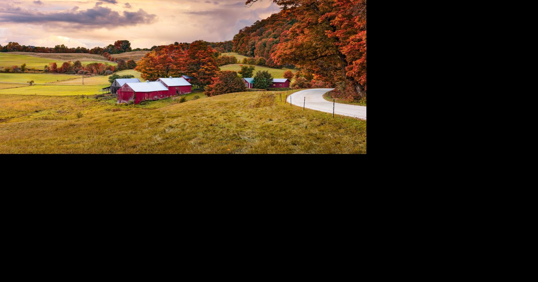 Gen Z Fuels Fall Travel Boom: International Escapes, Leaf-Peeping ...