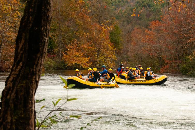 What's new in Tennessee tourism this fall: Glamping, moon marveling ...