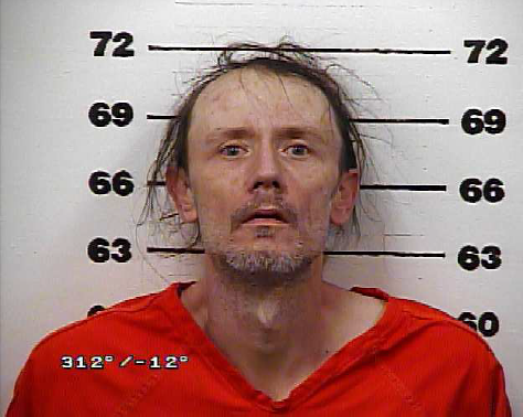 Rogersville woman sentenced to 10 years from 2022 'Operation Reminder ...