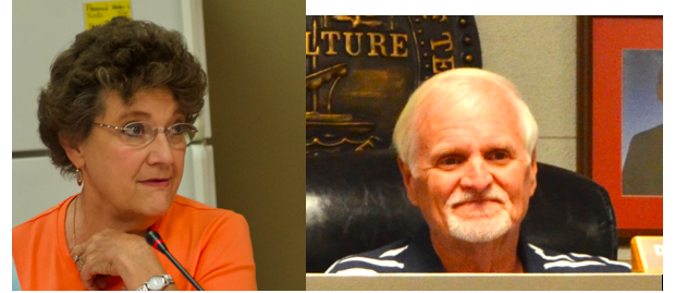 Hawkins County sees both new and familiar faces in election results ...