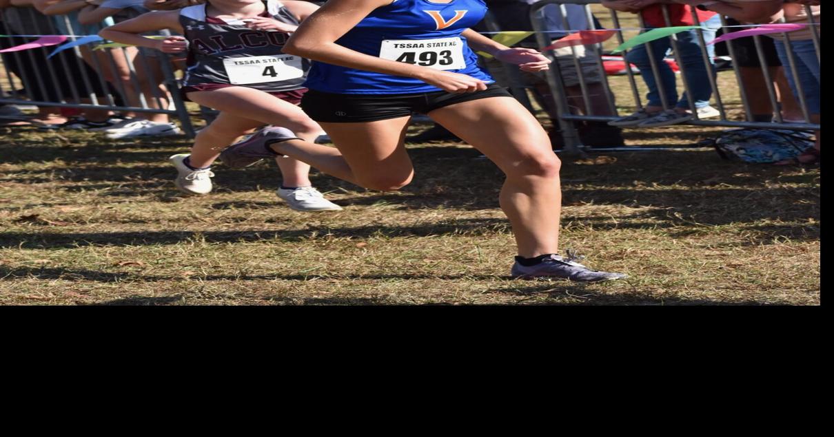 Begley earns All-State honors at state XC meet | Sports ...