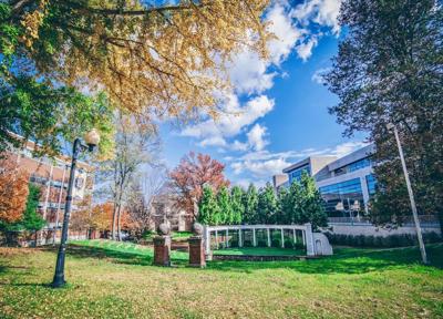 ETSU arborist predicts incredible colors likely this fall | Arts ...