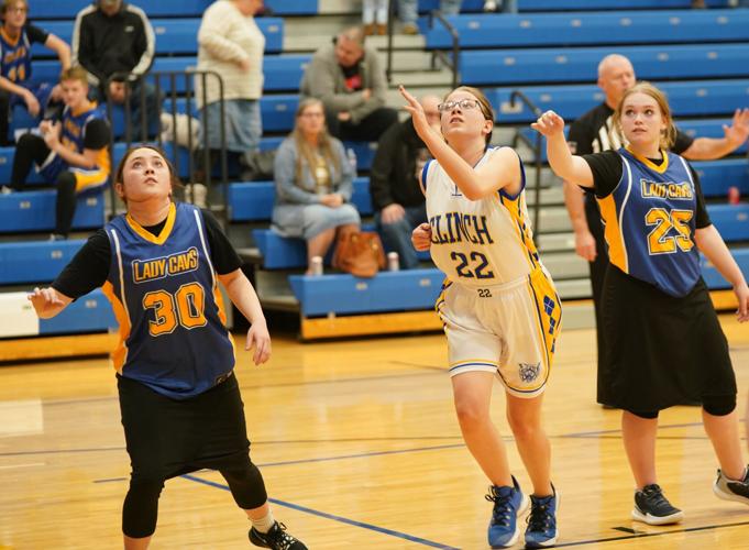 PHOTO GALLERY: Madison Lyons' 17 points leads Lady Wildcats in 45-9 ...