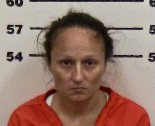 Poacher who pointed shotgun at property owner sentenced to 4 years ...