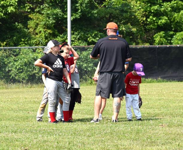 Sports briefs: Falcons’ baseball camp is June 18-20 | Sports ...