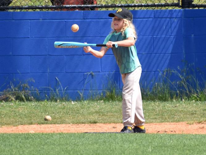 PHOTO GALLERY: Falcons host youth baseball camp | Multimedia ...