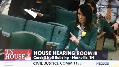 Judicial candidate testifies against proposed bill that would prevent ...