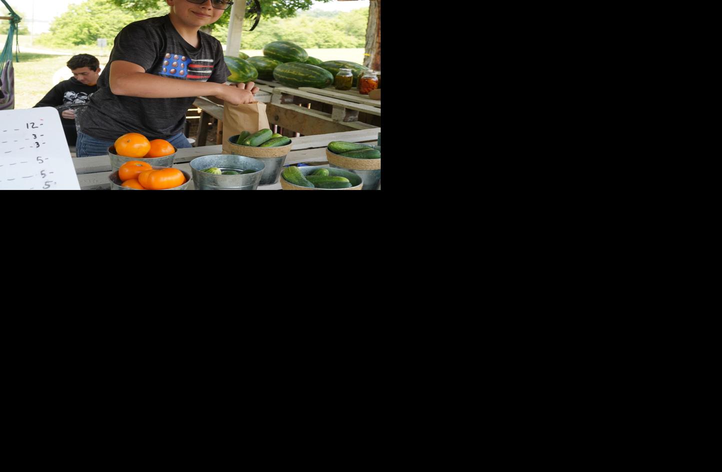 Bulls Gap's 'Little Produce Shack' is bigger than ever | Business ...