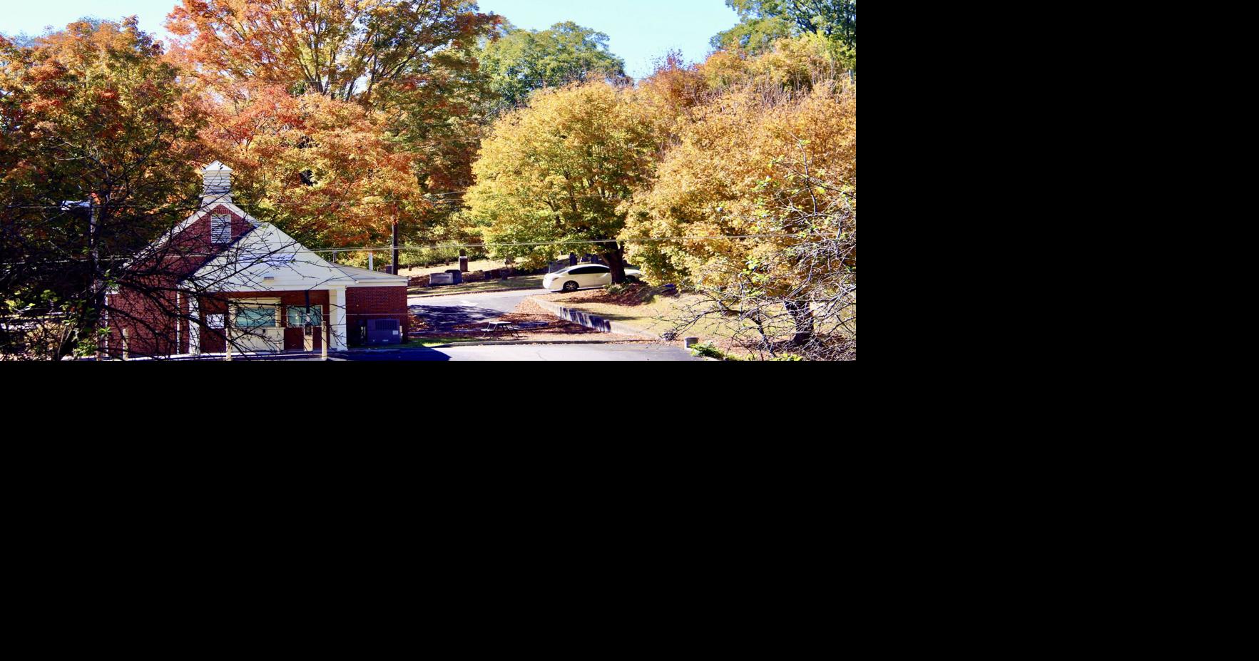 Rogersville autumn leaves | | therogersvillereview.com