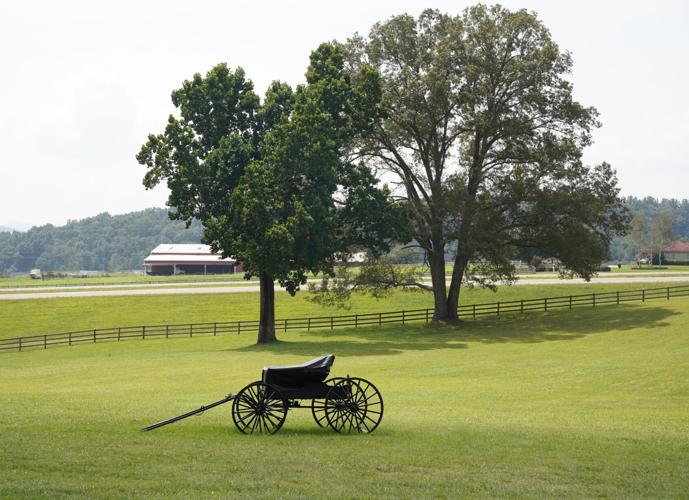 The Sayrah Barn blossomed into a favorite event venue in a very short ...
