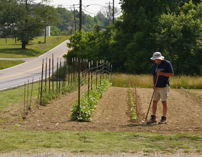 Bulls Gap's 'Little Produce Shack' is bigger than ever | Business ...
