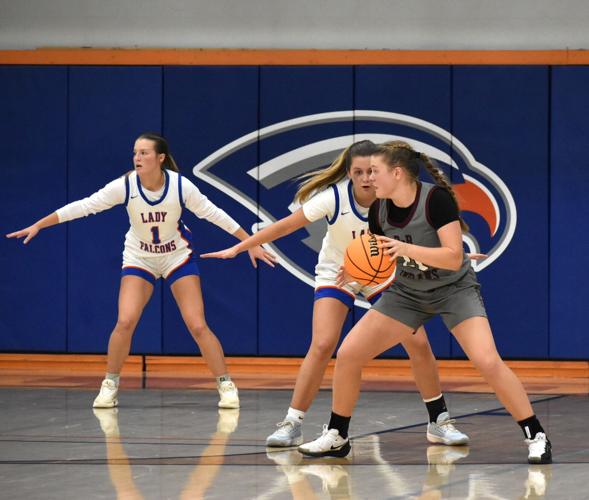 PHOTO GALLERY: Lady Falcons' rally comes up short in opener ...