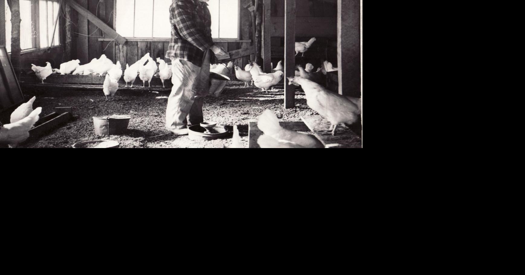 Stories and folklore: Back when roosters wore overalls | Columns ...