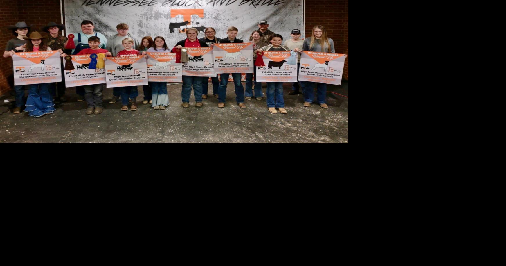 Hawkins 4-Hers earn top finishes in UT Block and Bridle Competition ...