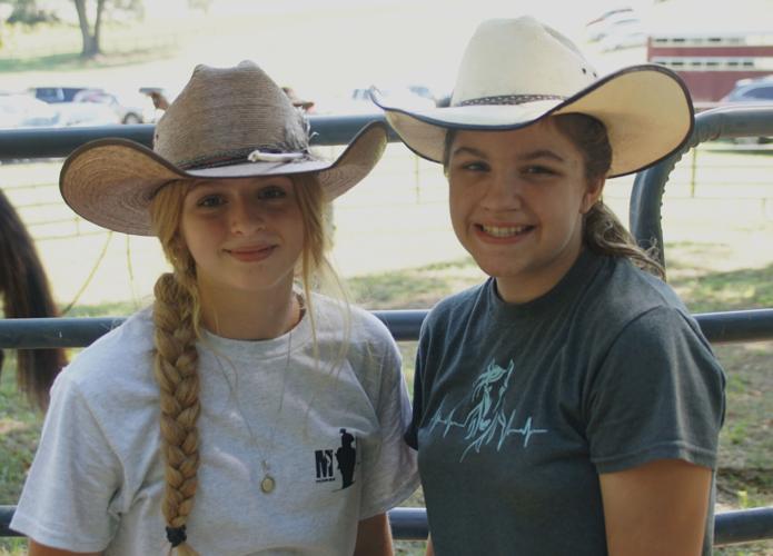 Horse seminar at Sayrah Barn raises $1,000 for Hawkins County Humane ...