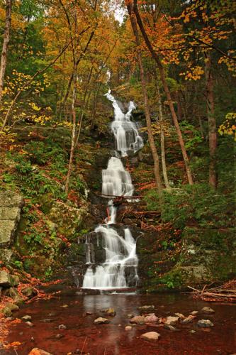 Meet Keith Utter: Rogersville Local Artist Gallery's 'Artist of the ...