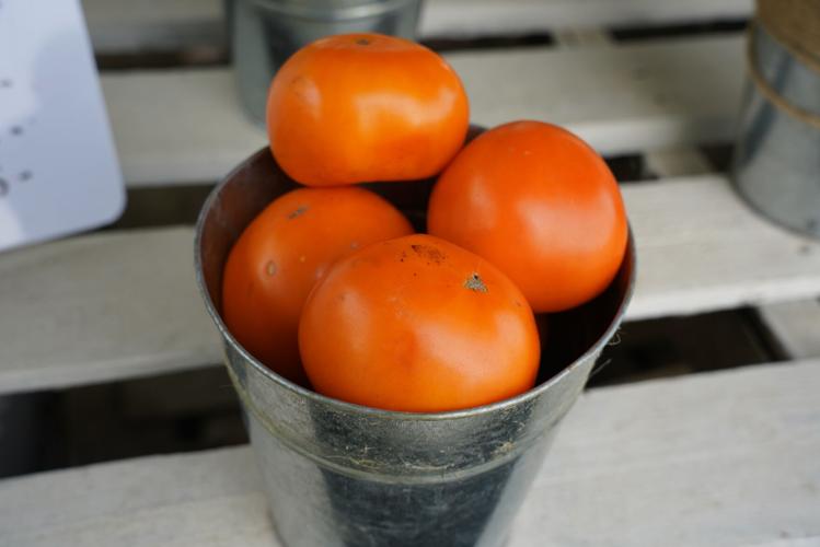 Bulls Gap's 'Little Produce Shack' is bigger than ever | Business ...