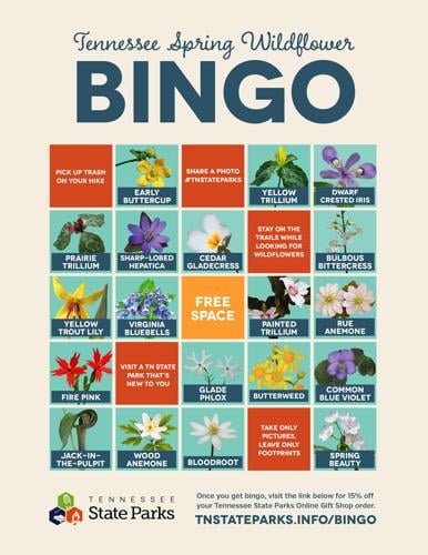 Wildflower bingo offers unique way to explore outdoors | Multimedia ...