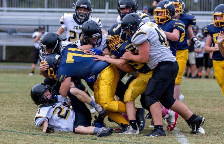 PHOTO GALLERY: Panthers cap 6-2 season with 33-0 shutout of RMS, 14-6 ...