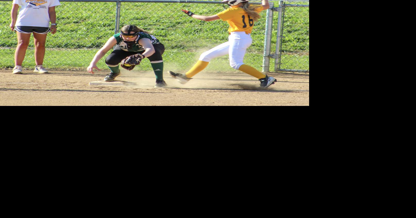 PHOTO GALLERY: Lady Panthers survive and advance | Multimedia ...