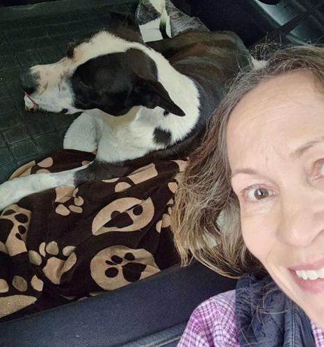 HMXI9059.jpeg | | therogersvillereview.com