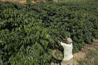 Long-awaited EU-Mercosur trade pact set for signing | National | therogersvillereview.com