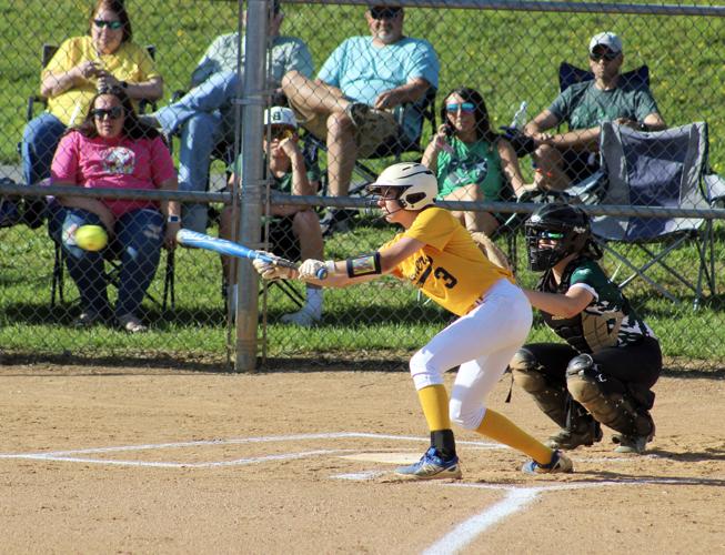 PHOTO GALLERY: Lady Panthers survive and advance | Multimedia ...